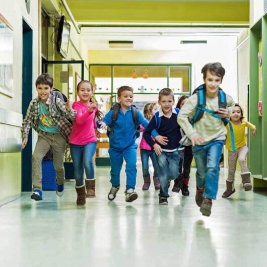Elementary, Middle & High Schools | Heating Green